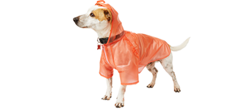 Dog Clothes: Puppy & Dog Outfits & Apparel | Petco