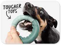 BARK Dog Toys from the makers of BarkBox | Petco