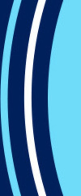 Rats For Sale | Live Pet Rats For Sale | Petco | Fancy Rats For Sale ...