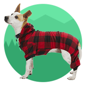 Dog Clothes: Puppy & Dog Outfits & Apparel | Petco