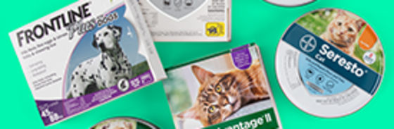 Minimally Processed Dog Food: 35% Off Repeat Delivery | Petco