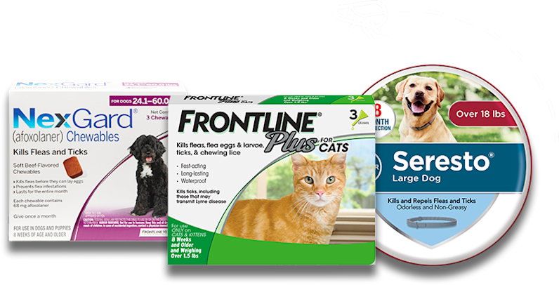 Pet Supplies, Pet Food, and Pet Products | Petco