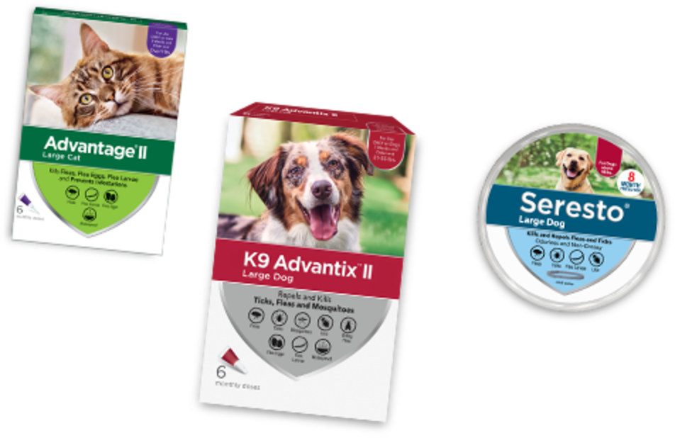 Pet Supplies, Pet Food, and Pet Products | Petco