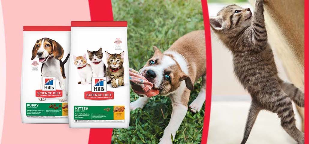 Pet Supplies, Pet Food, and Pet Products | Petco