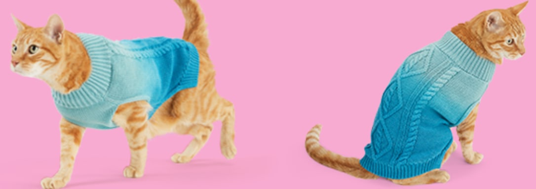 Cat Clothes & Outfits: Shirts, Sweaters, Bowties & More | Petco