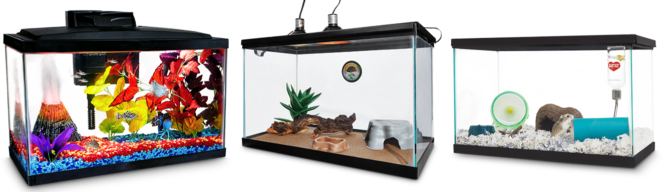 Pet Supplies, Pet Food, and Pet Products | Petco