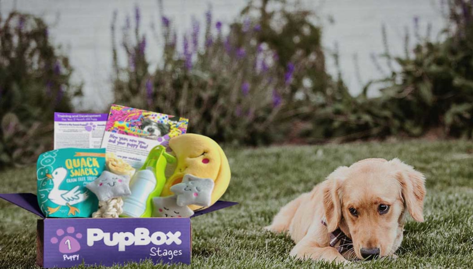 Pet Supplies, Pet Food, and Pet Products | Petco