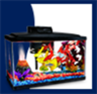 Large Fish Tanks for Sale | Big Fish Tanks & Aquariums | Petco