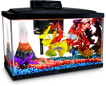 Fish Tank: Fish Aquariums, Kits & Stands | Petco | Fish Tank With Stand ...