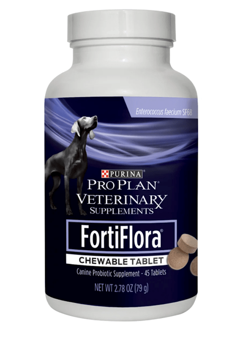 Dog Gas Or Stomach Grumbles | Petco