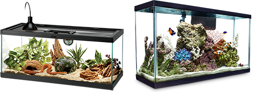 Small Animal Cages & Habitats | Petco