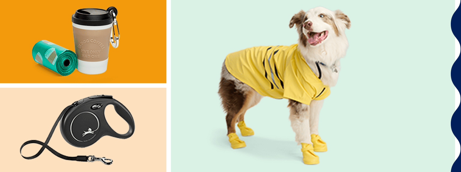 Cat and Kitten Collars: Harnesses, Leashes & Chains | Petco