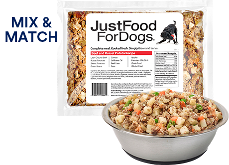 Fresh & Frozen Dog Food | Petco