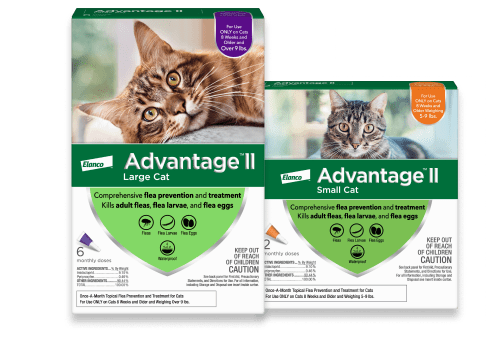 Cat Flea Medicine: Flea & Tick Treatments | Petco