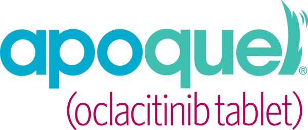 Temaril-P 5mg/2mg, 30 Tablets | Petco
