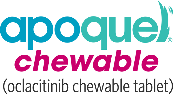 Apoquel 16 mg, 100 Tablets | Petco
