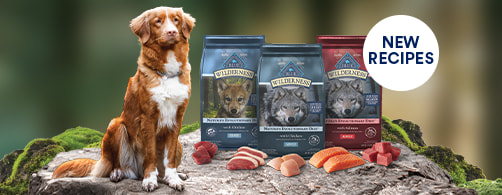 Blue Wilderness | Petco