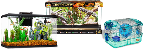 Fish Tanks, Kits & Stands on Sale | Petco