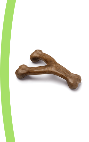 Dog & Puppy Toys | Petco