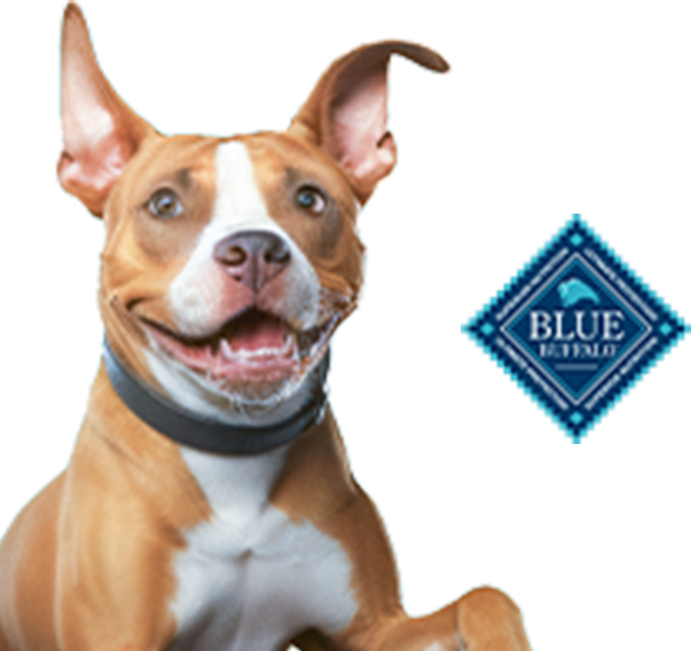 Blue Buffalo Cat & Dog Food & Treats | Petco