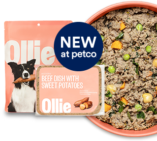 Petco: Pet Supplies, Pet Food, & Pet Products
