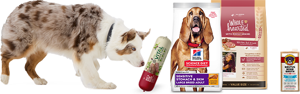 Dog Food: Quality Nutrition For Every Dog | Petco