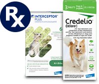 Dog Flea Medicine: Flea &Tick Prevention Medication | Petco