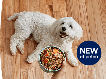 Freshpet Dog & Cat Food Products | Petco