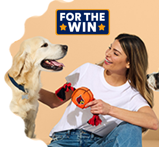 NFL Dog Gear: Jerseys, Collars, Shirts & More | Petco