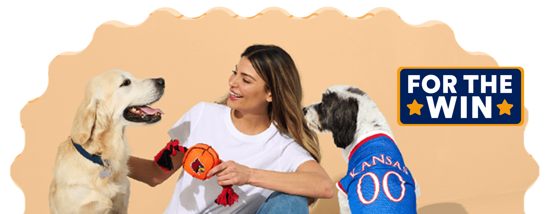 NFL Dog Gear: Jerseys, Collars, Shirts & More | Petco