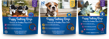 Dog Teeth Cleaning Products for Complete Oral Health | Petco