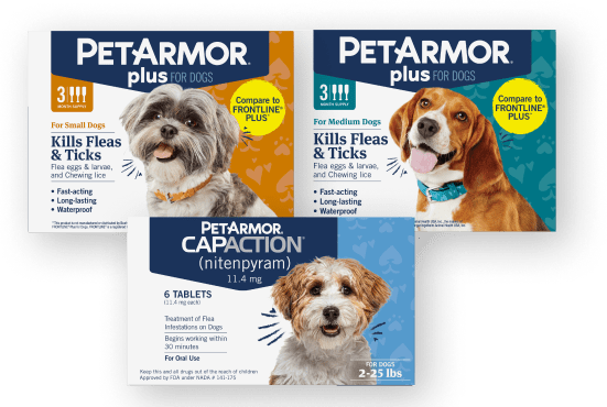 Flea Medicine for Dogs: Flea & Tick Prevention | Petco