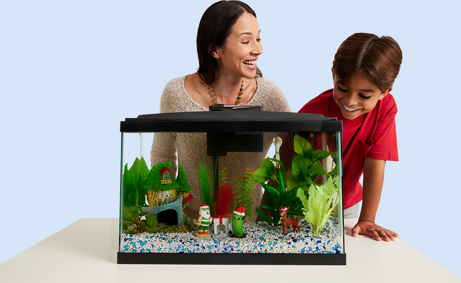 Aquariums, Tanks & Bowls | Petco