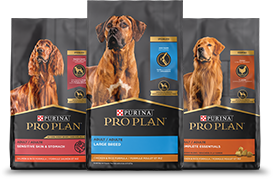 Dog Food: Premium, Refrigerated, Prescription & More | Petco