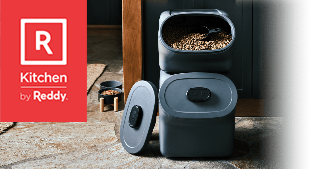 Reddy Dog Collars, Leashes & Harnesses | Petco