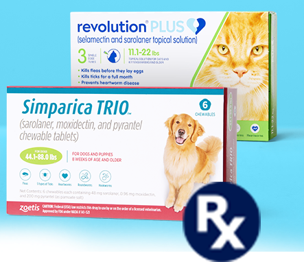 Cat Pharmacy: Prescription Cat Medicine | Petco Pet Pharmacy