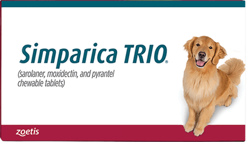 Dog Medication: Heartworm, Allergy, Antibiotics Prescription | Petco