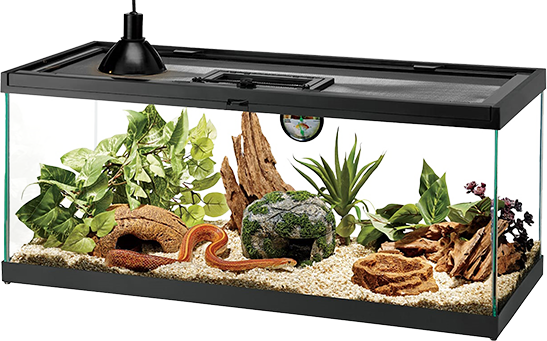 Fish Bowls, Aquarium Kits & Fish Tank Stands | Petco