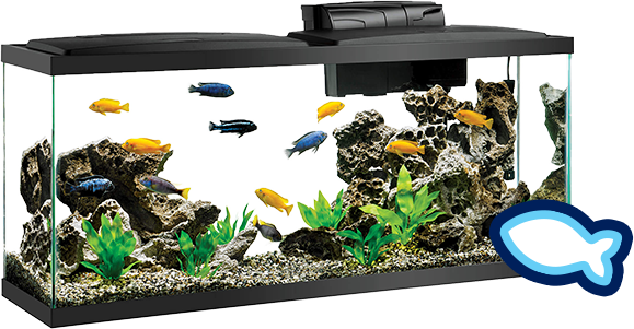 Fish Tanks, Kits & Stands on Sale | Petco