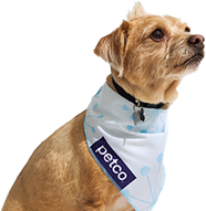 Petco appointment store