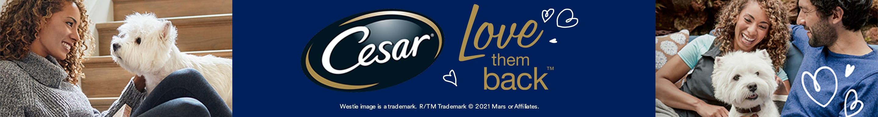 Cesar Dog Food Products | Petco