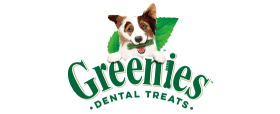 Dog Teeth Cleaning Products for Complete Oral Health | Petco