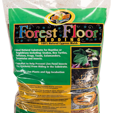 Best Substrate For Bearded Dragons of 2025 | Petco