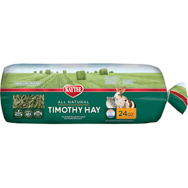 Best Hay For Guinea Pigs of 2025 | Petco