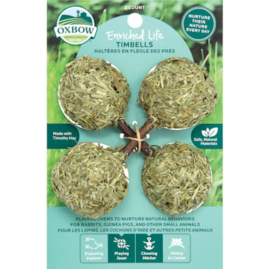 Best Rabbit Toys of 2024 | Petco