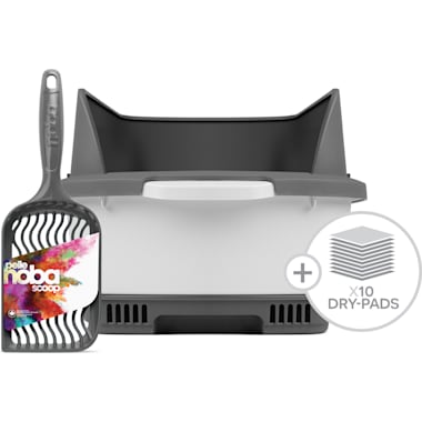 Best Litter Box For Ragdoll Cats of 2025 | Petco