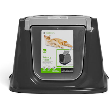 Best Litter Box For Ragdoll Cats of 2024 | Petco