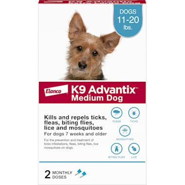 Mosquito Repellent Collars For Dogs | Petco