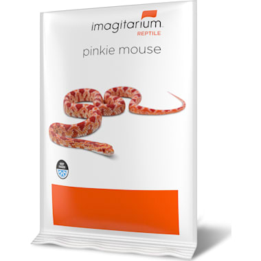 Best Food For Snakes of 2025 | Petco